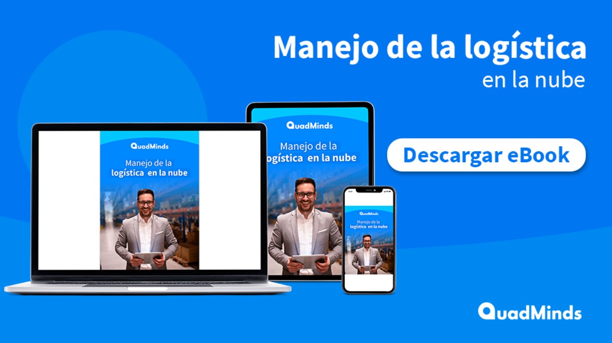 Eficiencia Logística en las Grandes Empresas - Quadminds